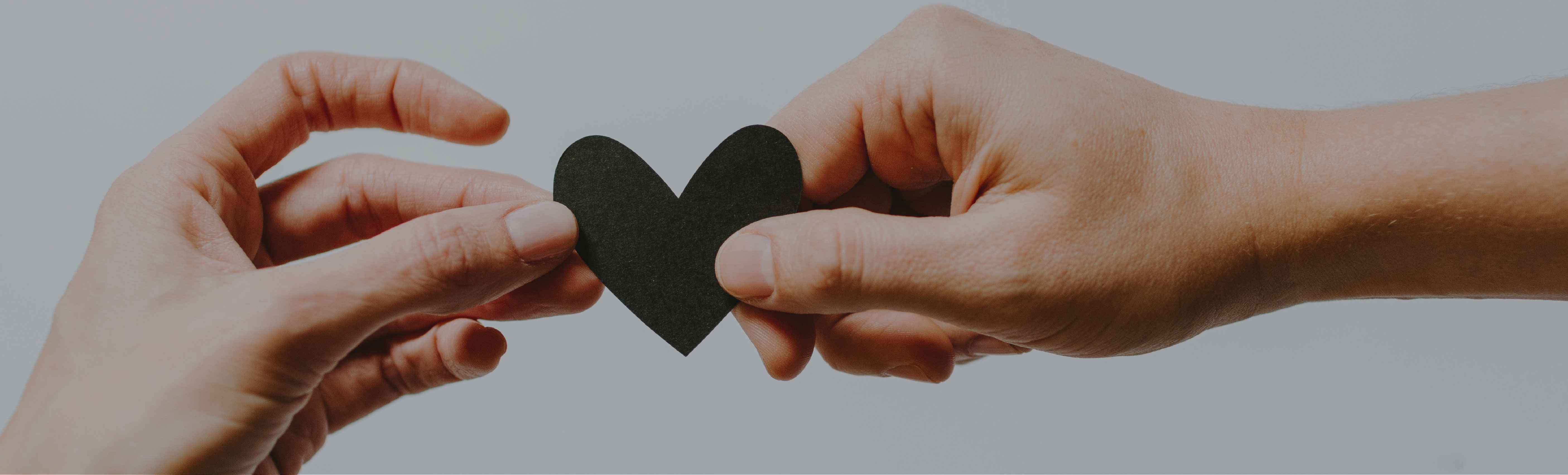 Find and Compare Transplant Programs