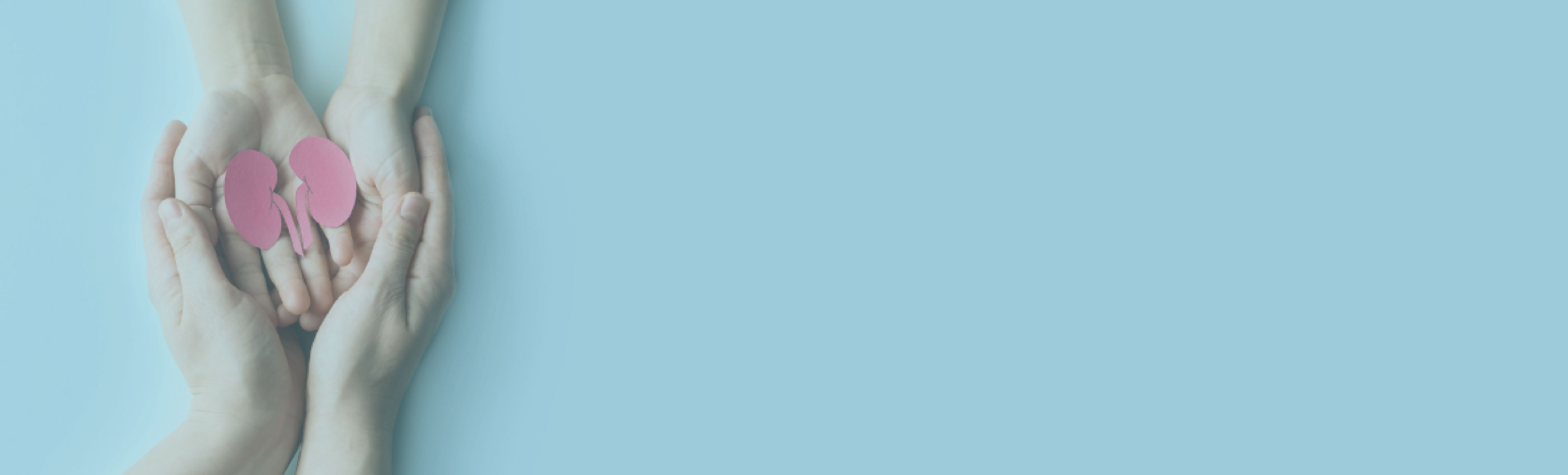 Find and Compare Transplant Programs