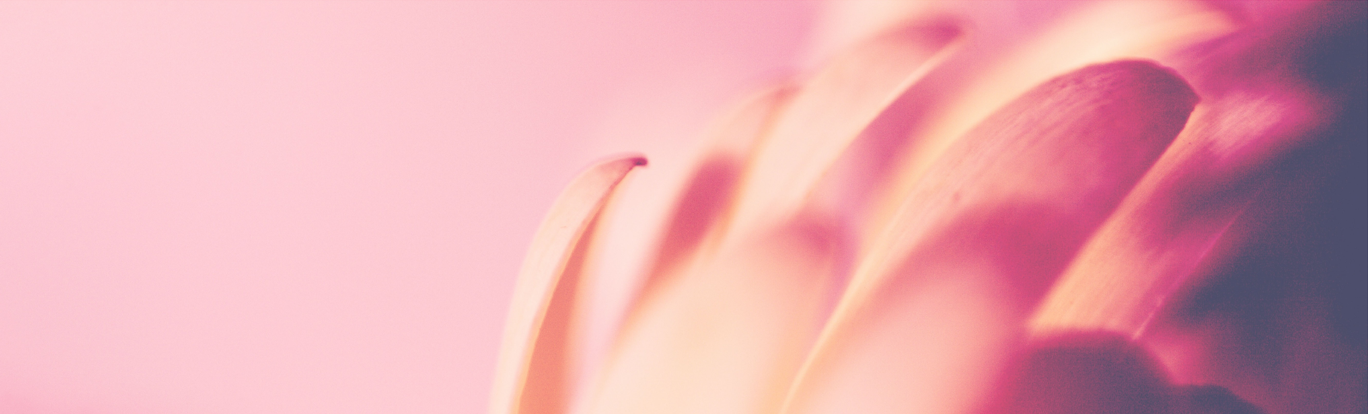 Find and Compare Transplant Programs